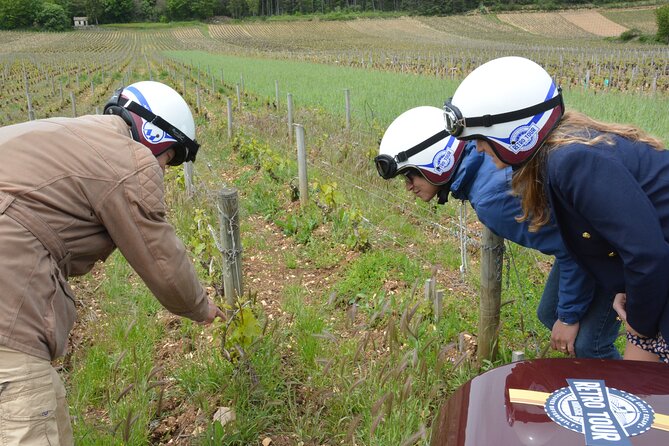Private Guided Sidecar Tour in Burgundy From Meursault - Frequently Asked Questions