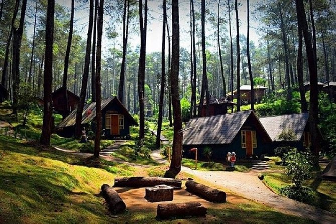 Private Guided Sightseeing Day Tour of Bandung - Practical Tips for Your Trip