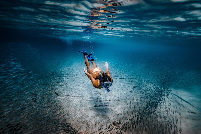 Private Guided Snorkeling in Cabo San Lucas - What to Expect from the Tour