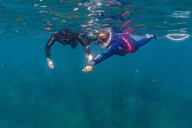 Private Guided Snorkeling in Cabo San Lucas - A Detailed Look at the Itinerary
