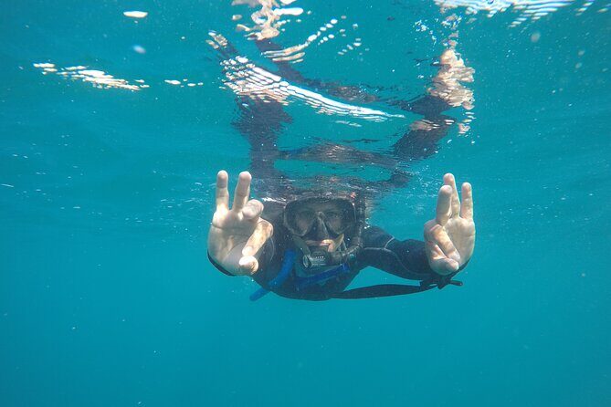 Private Guided Snorkeling in Cabo San Lucas - The Sum Up