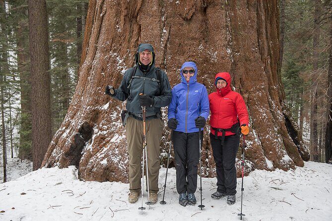 Private Guided Snowshoe Hike in Yosemite - FAQ
