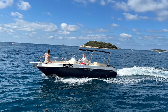 Private Guided Sunset Dolphin Watching in Adriatic Sea - Booking Information