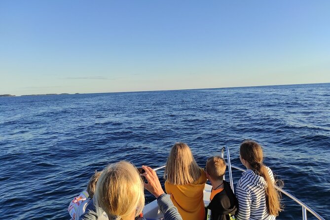 Private Guided Sunset Dolphin Watching in Adriatic Sea - Getting to the Meeting Point