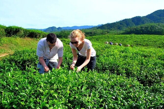 Private Guided Tour: A Spring Day in Dong Giang from Da Nang - Practical Considerations