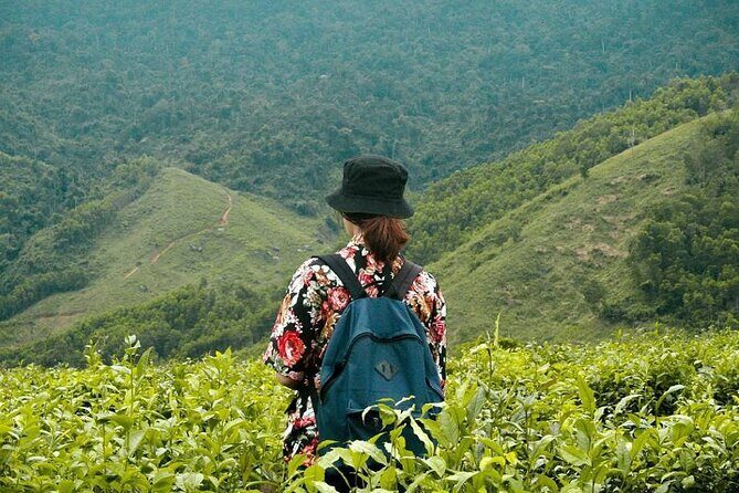 Private Guided Tour: A Spring Day in Dong Giang from Da Nang - Who Should Consider This Tour?
