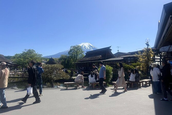 Private Guided Tour at Mount Fuji Majesty - Accessibility and Additional Information
