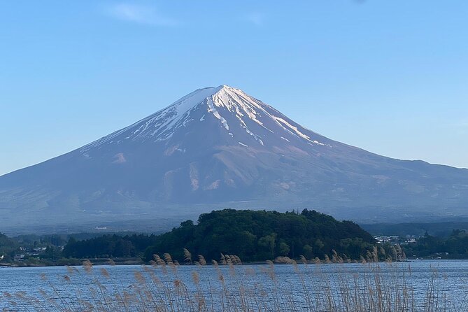 Private Guided Tour at Mount Fuji Majesty - Customer Reviews