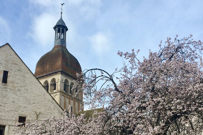 Private Guided Tour - Beaune 2h - Tour Inclusions