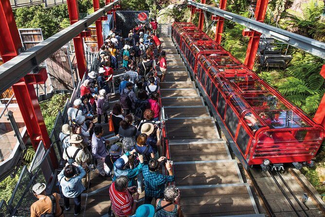 Private Guided Tour: Blue Mountains Tour from Sydney - Frequently Asked Questions