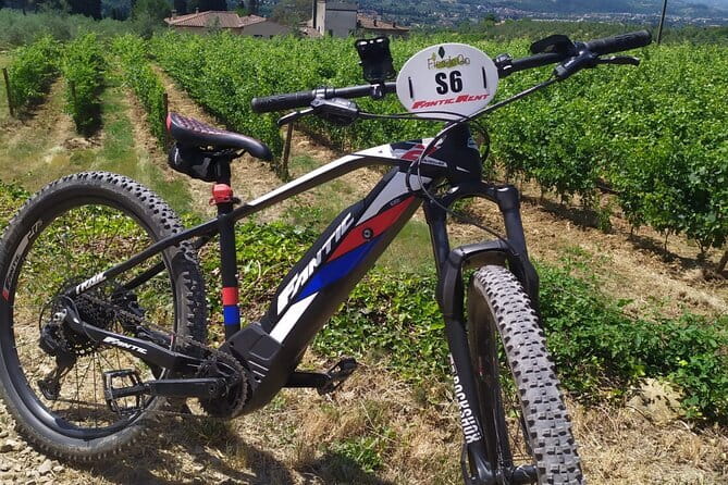 Private Guided Tour by E-Bike and Electric MTB in Fiesole - An In-Depth Look at the Fiesole E-Bike Tour
