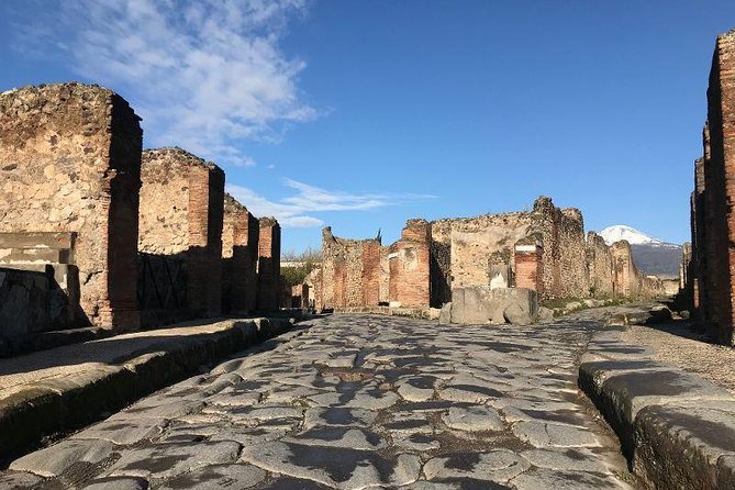 Private Guided Tour. Experience the Everyday Life of the Eternal Town of Pompeii - Experiencing the Passion and Expertise of the Guides