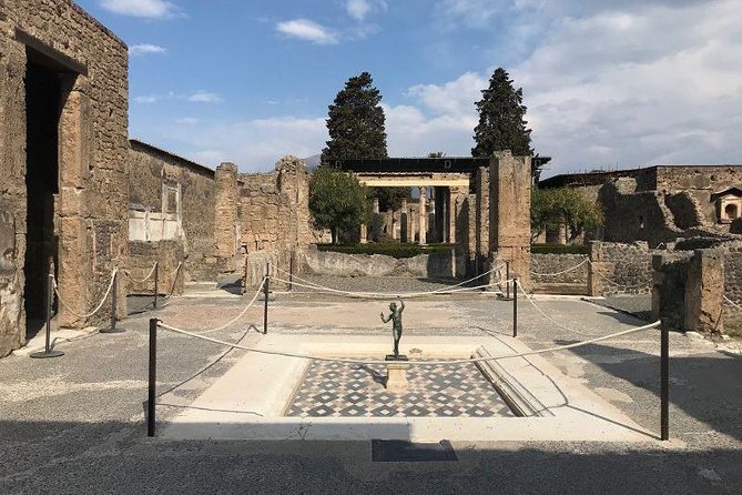 Private Guided Tour. Experience the Everyday Life of the Eternal Town of Pompeii - Capturing the Essence of Pompeiis Eternal Legacy