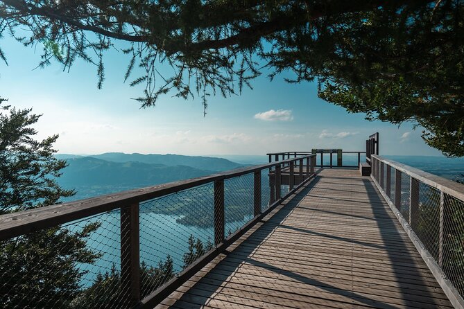 Private Guided Tour from Vienna to Hallstatt with Cable Car & Treetop in Gmunden - Why This Tour Offers Great Value