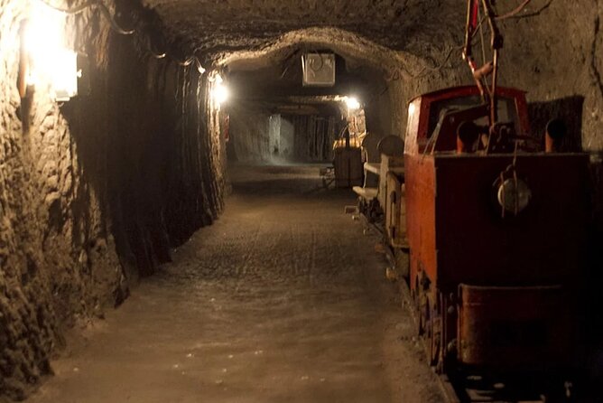 Private Guided Tour From Vienna to Hallstatt With Skywalk & Salt Mine Experience - Customer Feedback and Additional Information