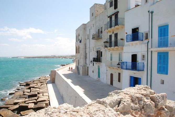 Private Guided Tour in Monopoli: Walking Through the Old Town - Sights and Landmarks Along the Way