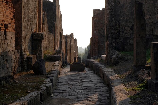Private Guided Tour in Pompeii - Meeting the Driver Again: Transitioning Back to Naples