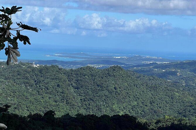 Private Guided Tour in Puerto Rico - An In-Depth Look at the Tour Experience