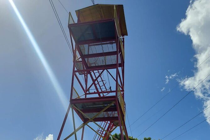 Private Guided Tour in Puerto Rico - The Sum Up