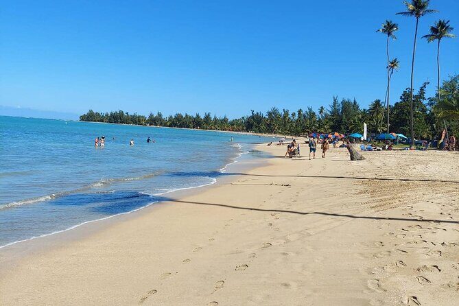 Private Guided Tour in Puerto Rico - FAQ