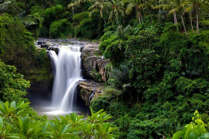 Private Guided Tour in Ubud - The Sum Up