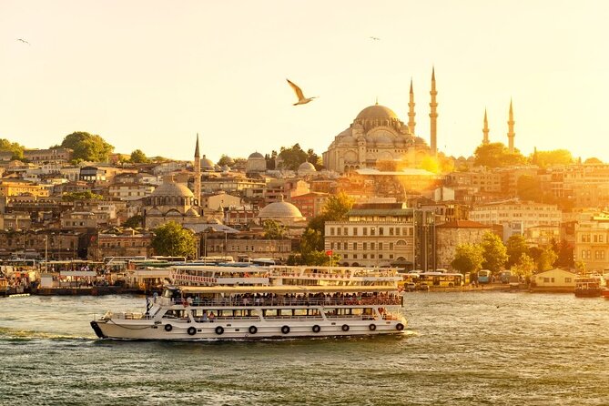 Private Guided Tour Istanbul From Cruise Ship or Hotel - Accessibility and Participation