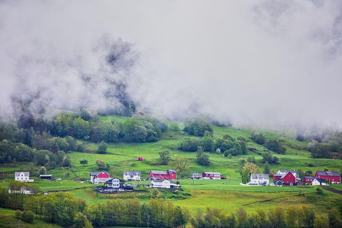 PRIVATE GUIDED TOUR: Norway's Highlights  Viking Special, 11-12 hours  SUMMER - A Detailed Look at Norway’s Highlights Viking Special Tour