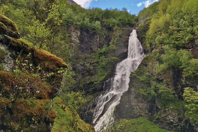 PRIVATE GUIDED TOUR: Norway's Highlights  Viking Special, 11-12 hours  SUMMER - Frequently Asked Questions