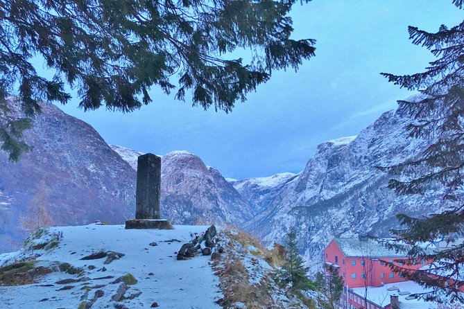 PRIVATE GUIDED TOUR: Norway's Highlights  Viking Special, 11-12 hours  WINTER - FAQ