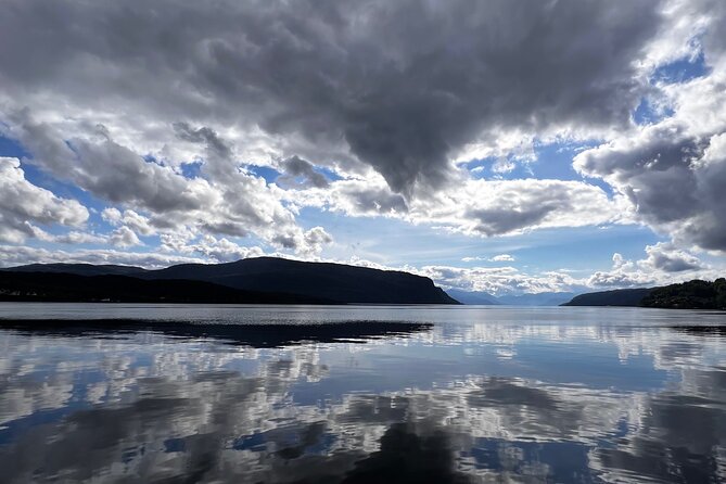 Private Guided Tour of Bergen and the Best of Norwegian Fjords - Introduction