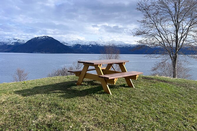 Private Guided Tour of Bergen and the Best of Norwegian Fjords - What Visitors Say