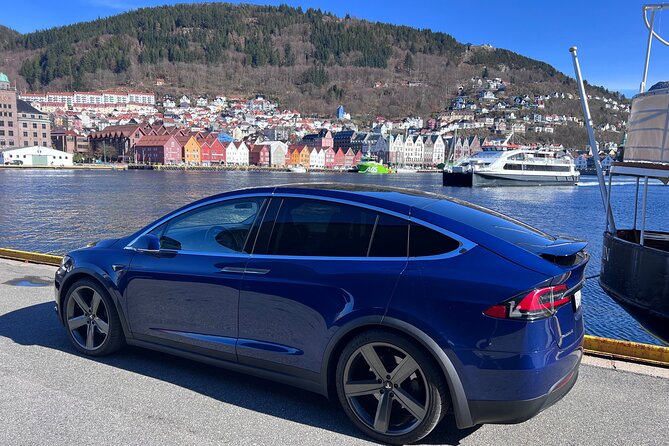 Private Guided Tour of Bergen and the Best of Norwegian Fjords - Analyzing the Value: Is It Worth the Cost?