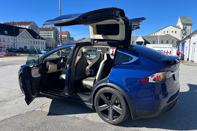 Private Guided Tour of Bergen and the Best of Norwegian Fjords - Who Is This Tour Best For?