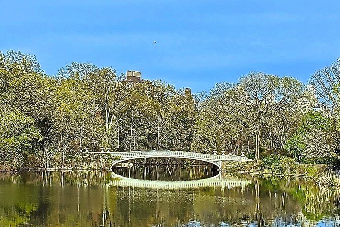 Private Guided Tour of Central Park - An In-Depth Look at the Tour Itinerary