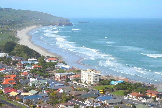 Private Guided Tour of Dunedin City Heritage and Unique Wildlife and Scenery - Exploring Dunedin and Otago Peninsula: A Deep Dive into a Private Guided Tour