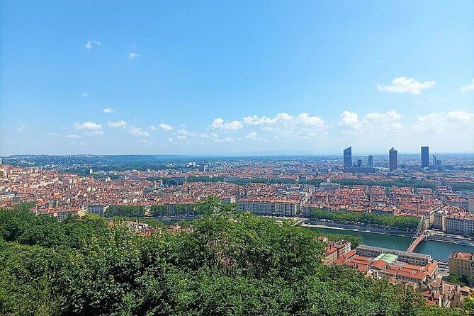 Private Guided Tour of Lyon - 3 to 4 Hours - Accessibility