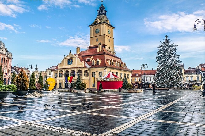 Private Guided Tour of Peles Castle and Bran Castle from Bucharest - Transportation and Practical Info
