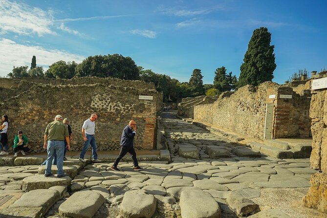 Private Guided Tour of Pompei - Expert Archaeological Guidance