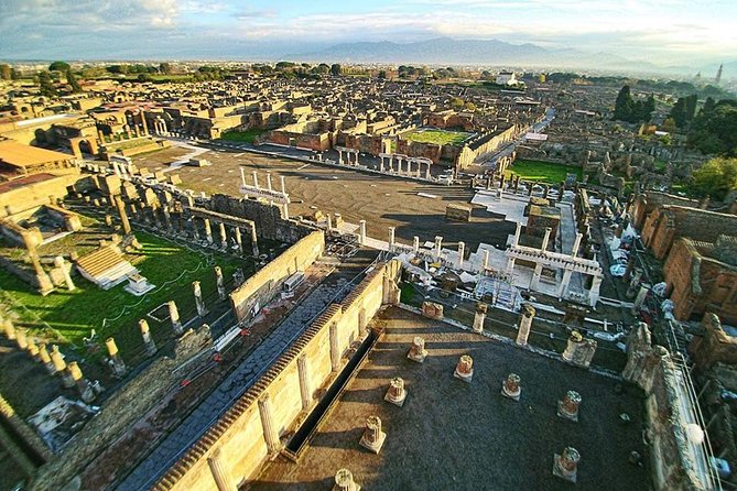 Private Guided Tour of Pompeii and Herculaneum - Tour Accessibility and Requirements