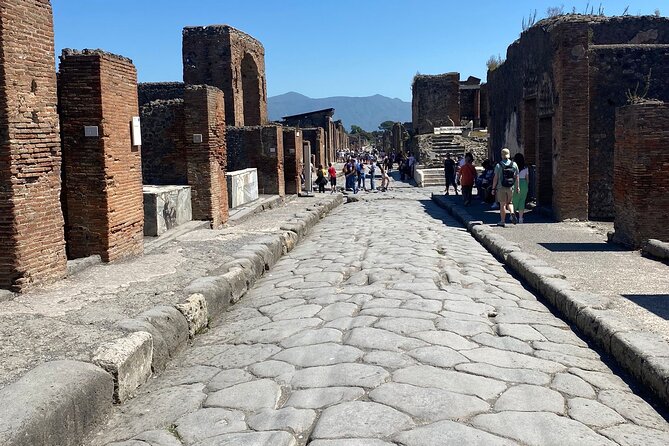 Private Guided Tour of Pompeii Excavations - Detailed Breakdown of the Itinerary