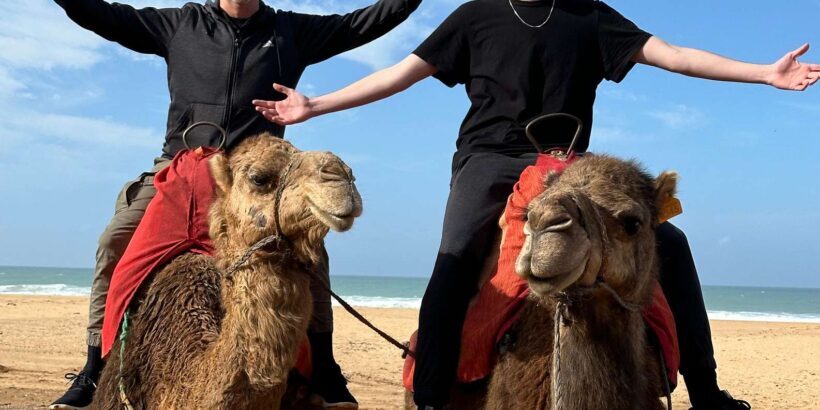 Private guided tour of Tangier from Marbella with said - Midday Cultural Experiences
