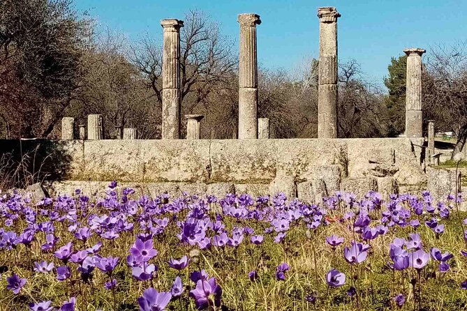 Private Guided Tour of the Archaeological Site and Museum of Olympia - An In-Depth Look at the Olympia Guided Tour