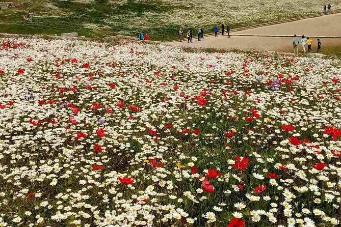 Private Guided Tour of the Archaeological Site and Museum of Olympia - Final Thoughts: Is It Worth It?