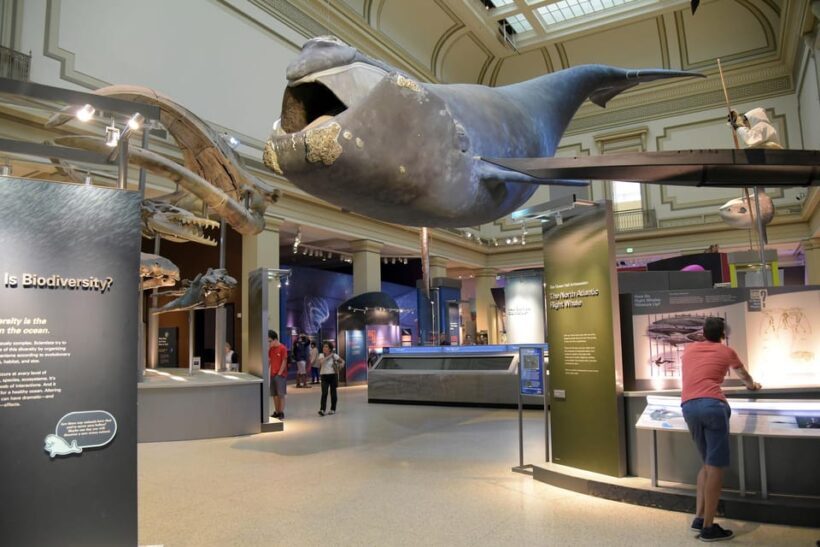 Private Guided Tour of The Natural History Museum - Who Will Love This Tour?