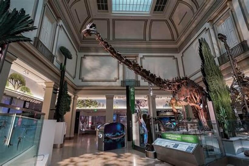 Private Guided Tour of The Natural History Museum - The Sum Up