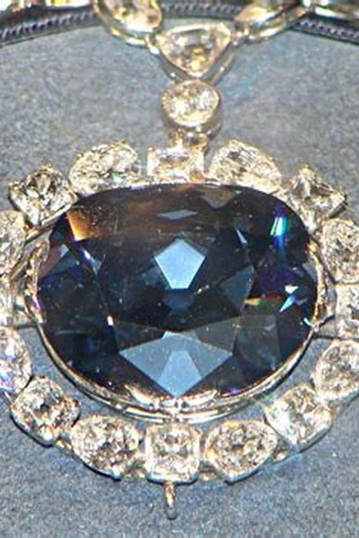 Private Guided Tour of The Natural History Museum - The Itinerary: What’s Included and What to Expect