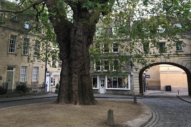 Private Guided Tour of Windsor, Stonehenge and Bath - The Sum Up: The Right Balance of Comfort and Content