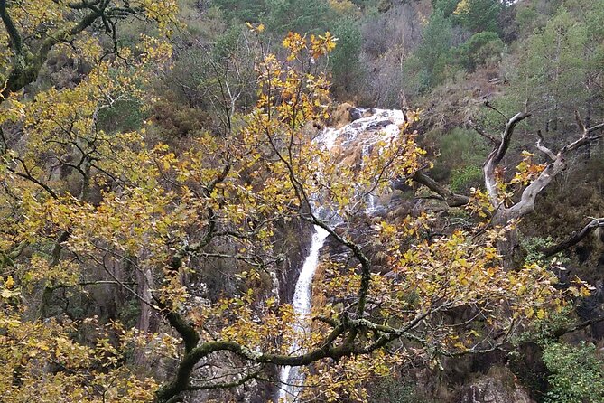 Private Guided Tour - Peneda Gerês National Park - The Sum Up
