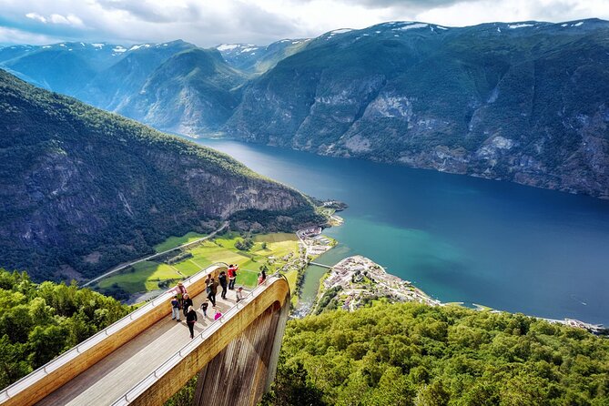 Private guided tour - Premium Nærøyfjord Cruise and Flåm Railway - What Travelers Say and Why It Matters