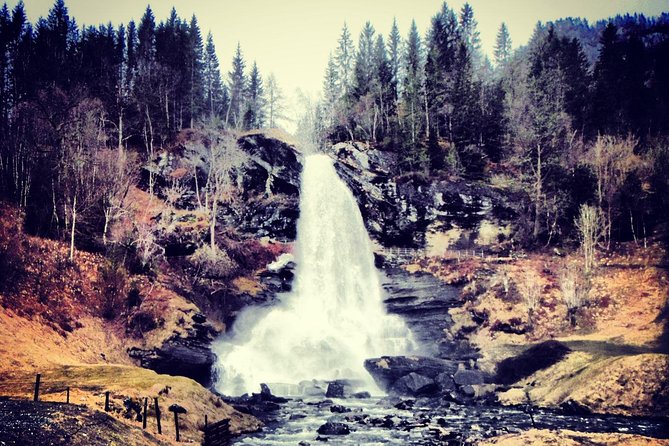 PRIVATE GUIDED TOUR: Queen of the Fjords - TOUR From Bergen, 6 Hours - Customer Experiences